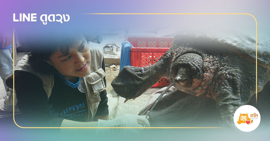 Taejai : e-Donation service