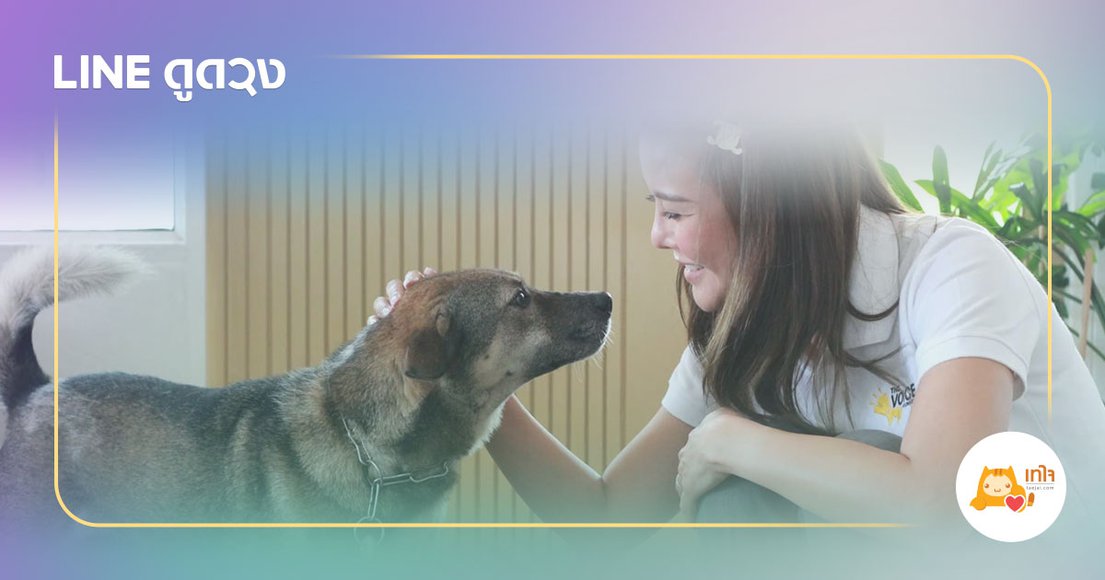 Taejai : e-Donation service